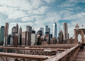 Daman Securities | Website